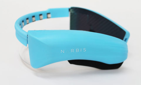 Narbis illume - Narbis