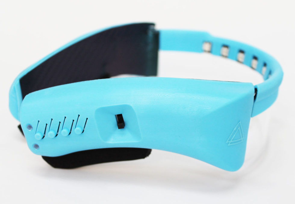 Narbis illume - Narbis